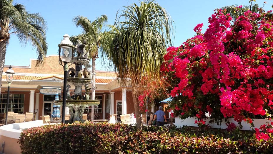 Safety Harbor Resort And Spa | Travel Advantage Network