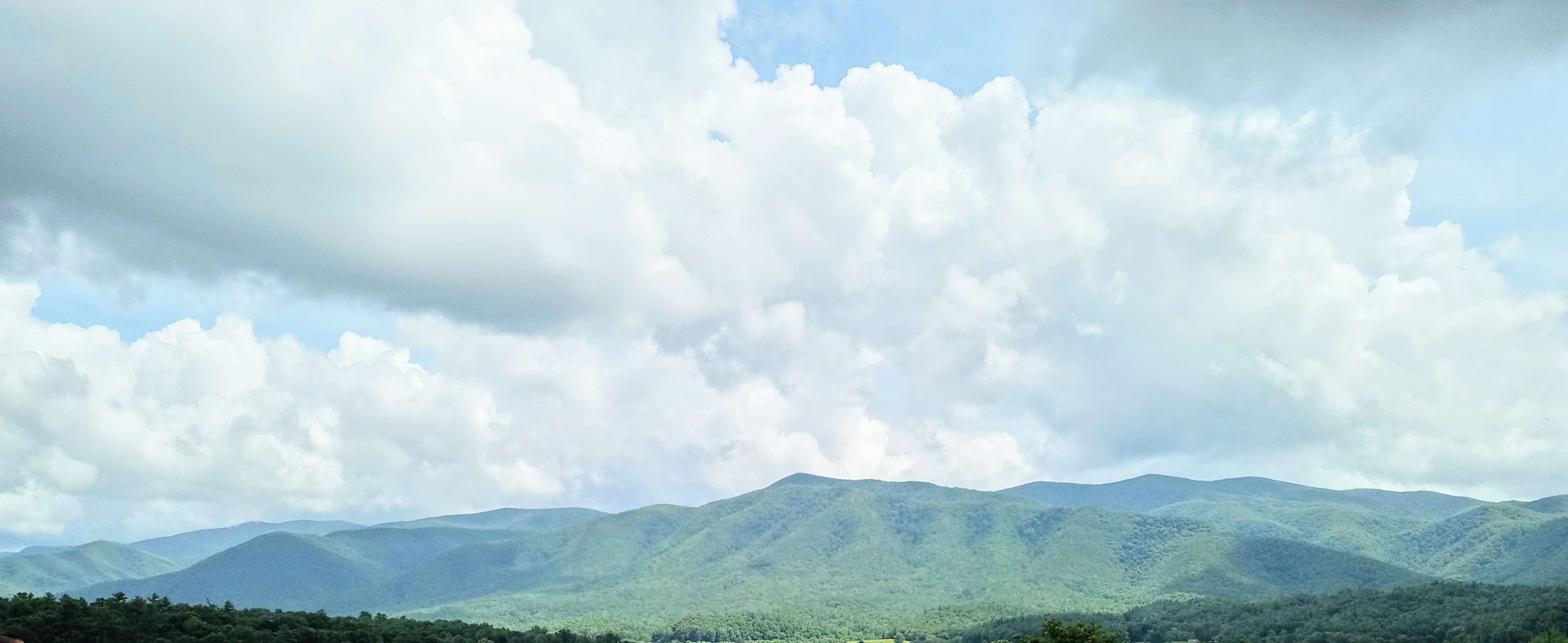 Pin Oak | Travel Advantage Network